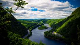 Delaware Planting Zones: Map of DE Growing Zones