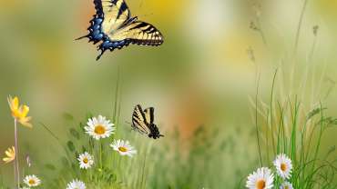 Delaware Planting Zones: Map of DE Growing Zones