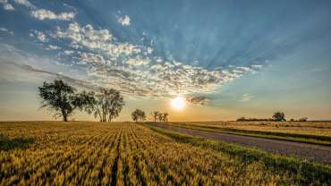 Delaware Planting Zones: Map of DE Growing Zones