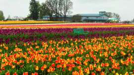 Delaware Planting Zones: Map of DE Growing Zones