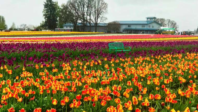 Delaware Planting Zones: Map of DE Growing Zones