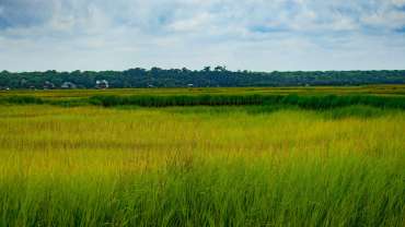 South Carolina Planting Zones: Map of SC Growing Zones