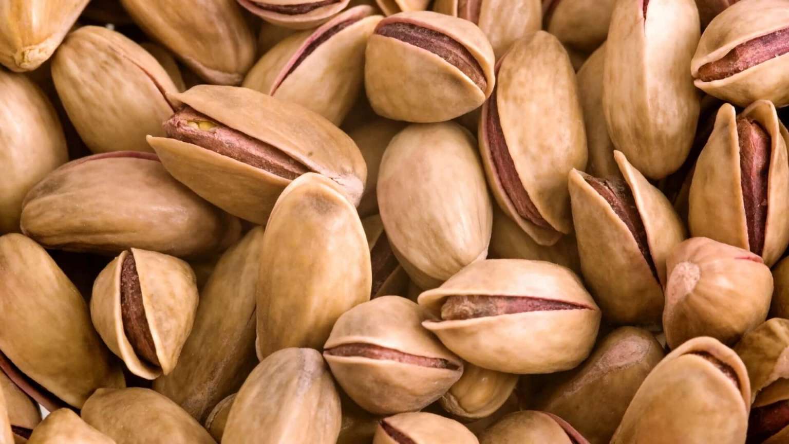 Growing Pistachios: How to Plant and Grow Pistachios