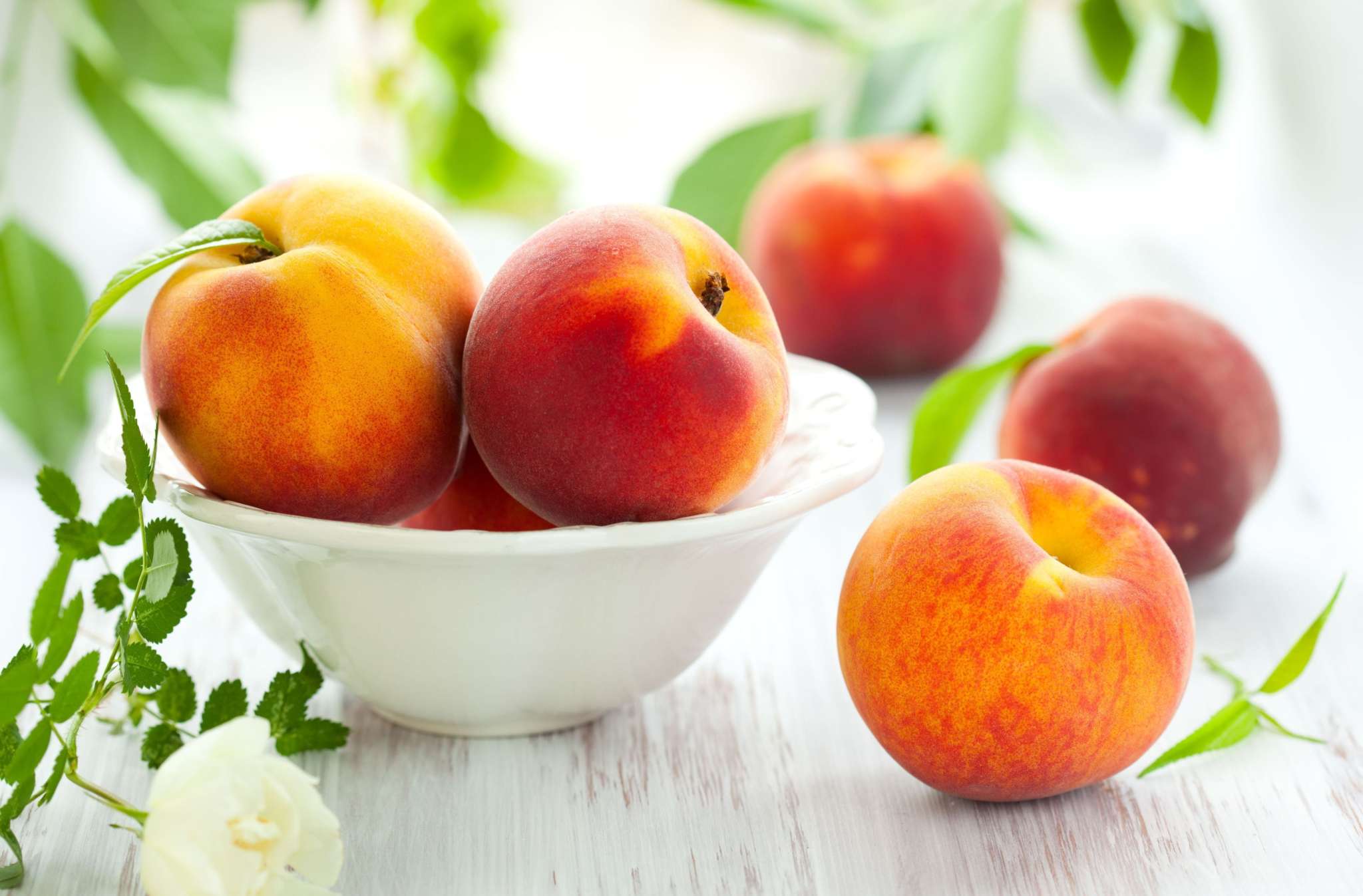 Growing Nectarines: How to Plant and Grow Nectarine Trees