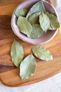 Growing Bay Leaf: How to Plant and Grow Bay Leaf