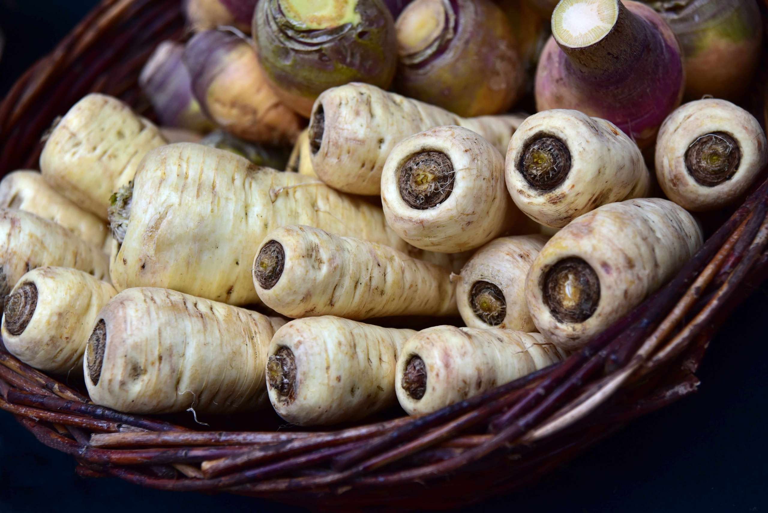 Growing Parsnips: How to Plant, Grow, and Harvest Parsnips