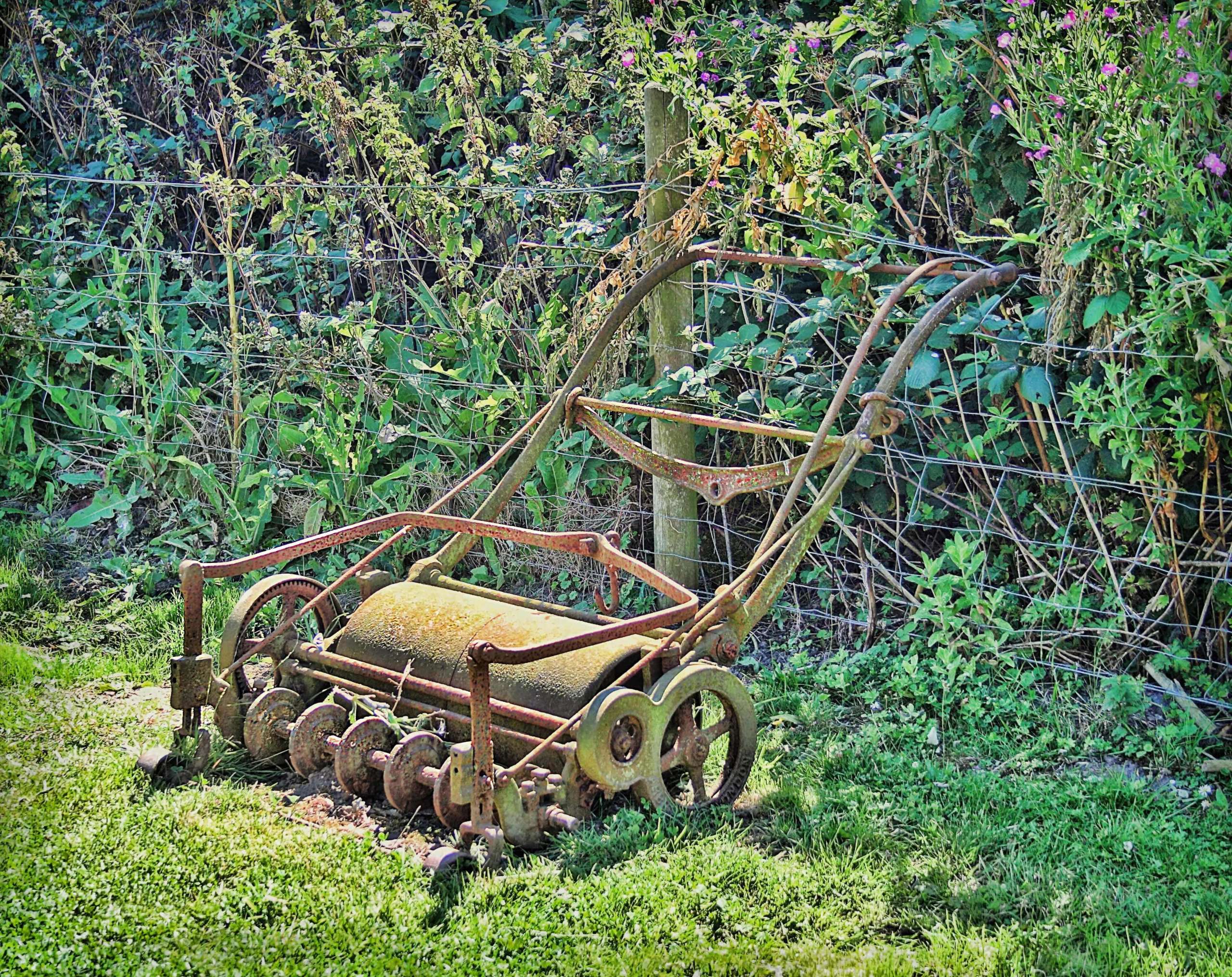 Why, How, and When to Use a Lawn Roller