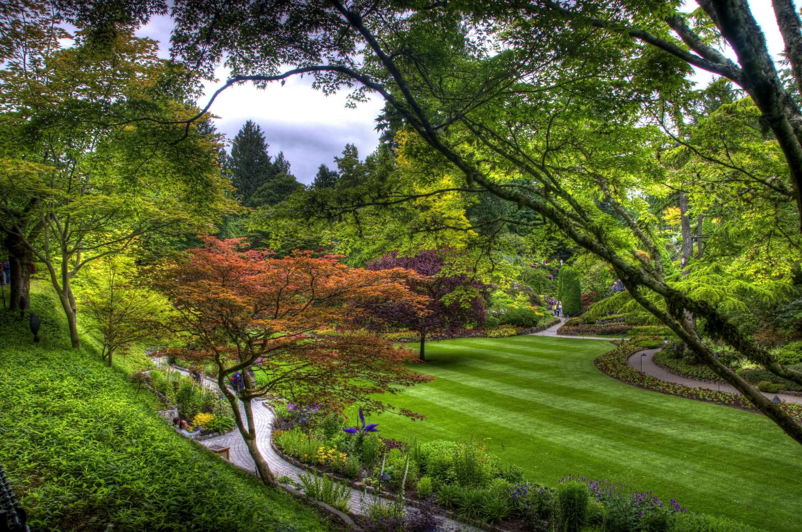 Lawn Striping: Get a Perfectly Striped Lawn