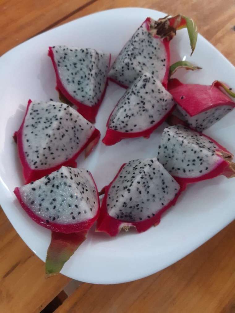 The Different Varieties of Dragon Fruit