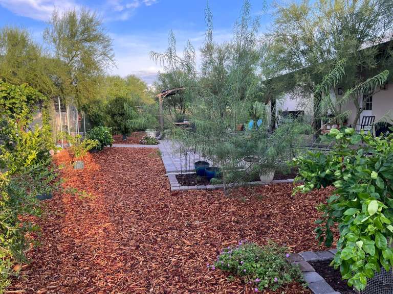 Everything You Need to Know About Cedar Mulch