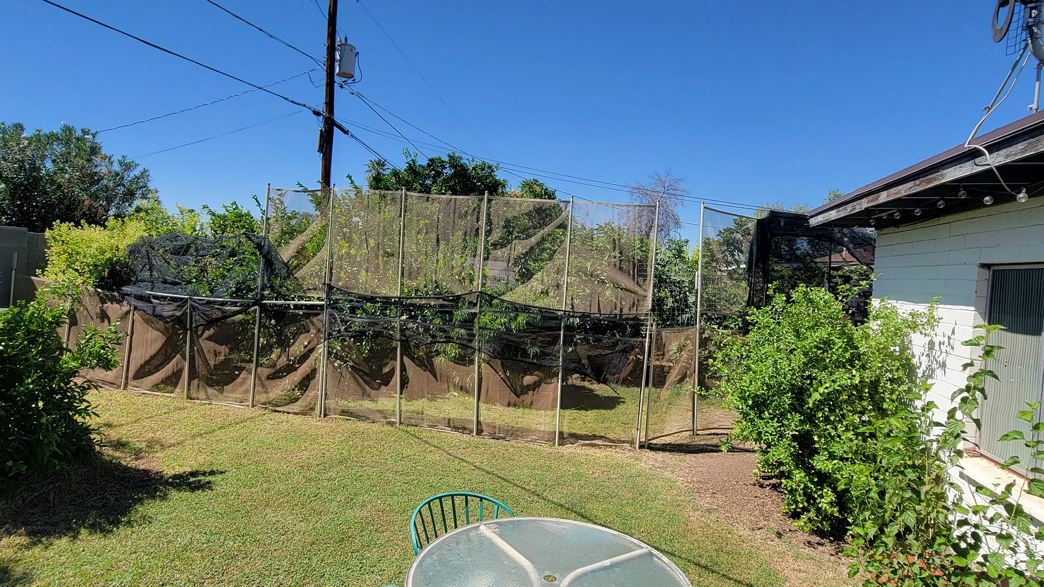 How to Start a Food Forest in 10 Easy Steps